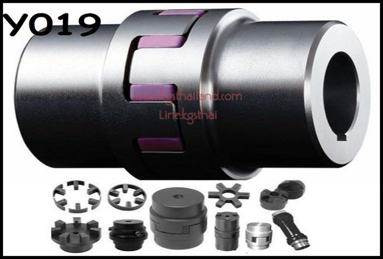 Y019-ชุดยอย – KGS THAI